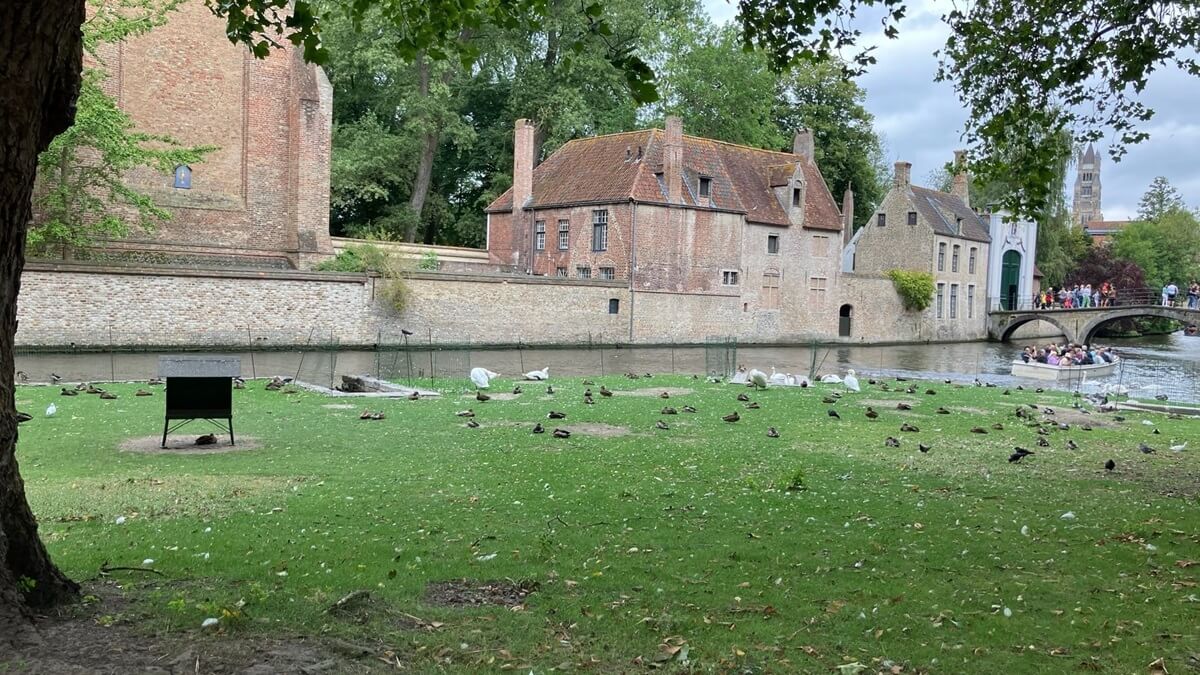 ブルージュ旅行！おすすめ観光地5選&食べ物3選【ワッフル/カフェ/パン】 | Pom Voyage