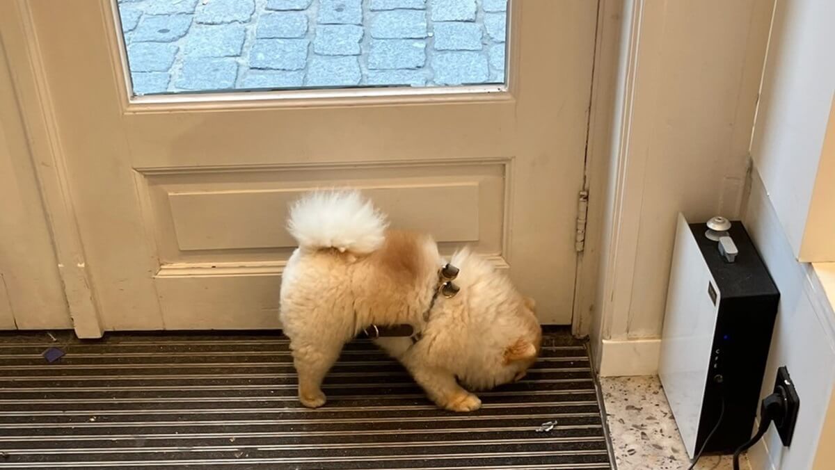 ベルギー/ブルージュの可愛いお土産屋8選！スーパー＆雑貨巡り | Pom Voyage