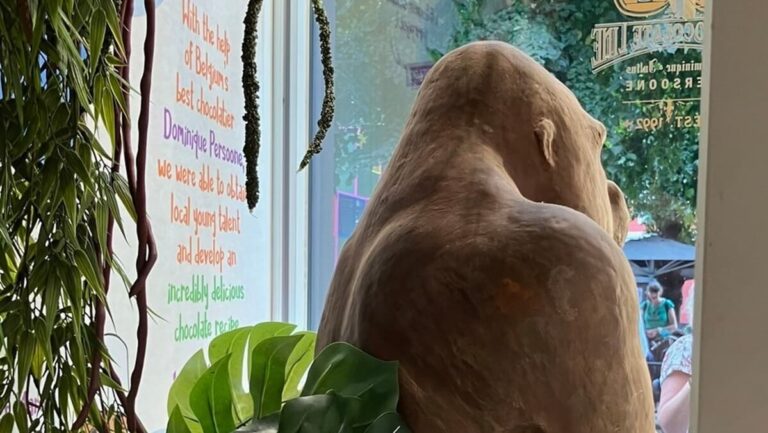 ベルギー/ブルージュの可愛いお土産屋8選！スーパー＆雑貨巡り | Pom Voyage